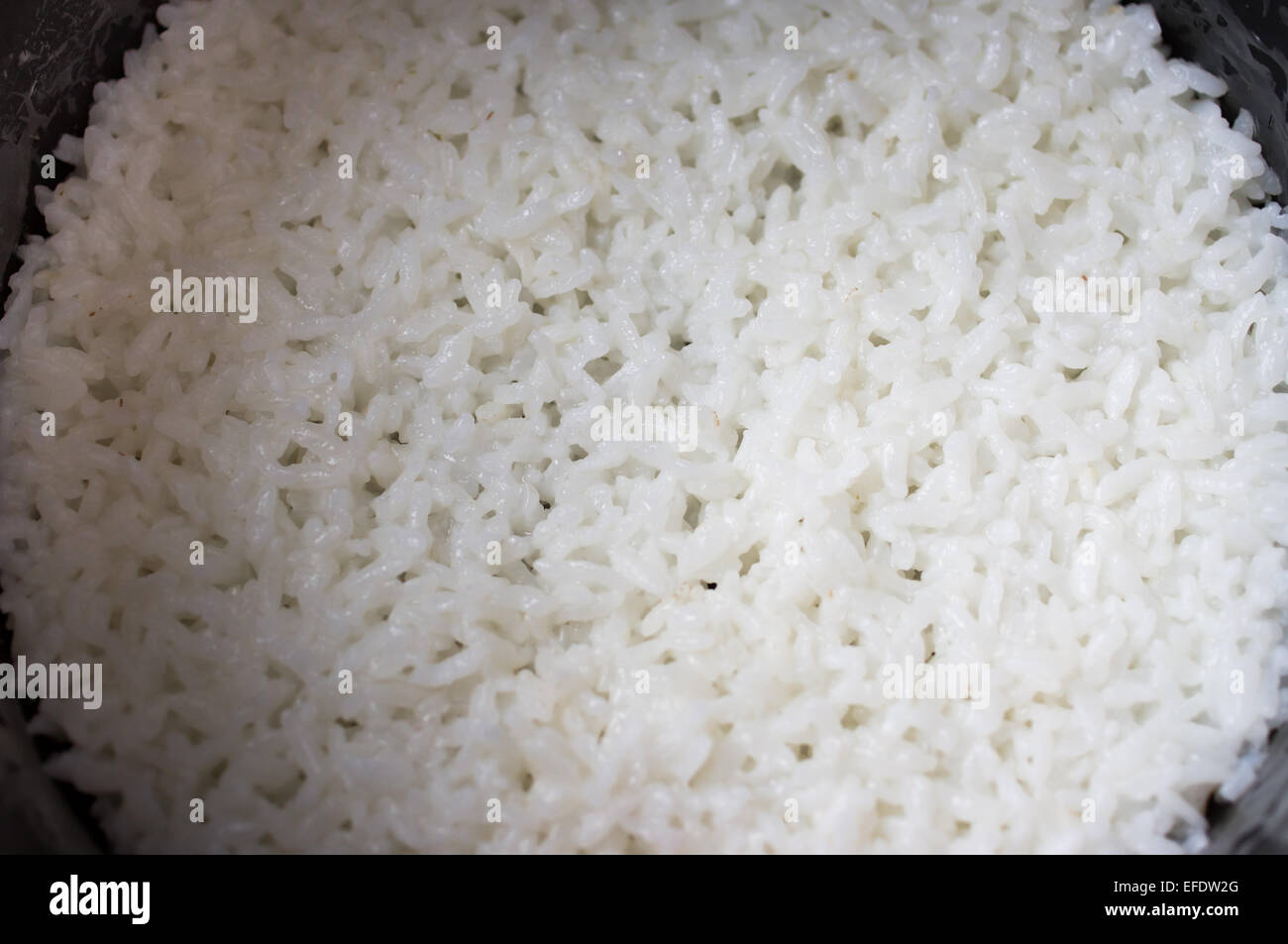 Rice is cooked in a rice cooker Stock Photo - Alamy