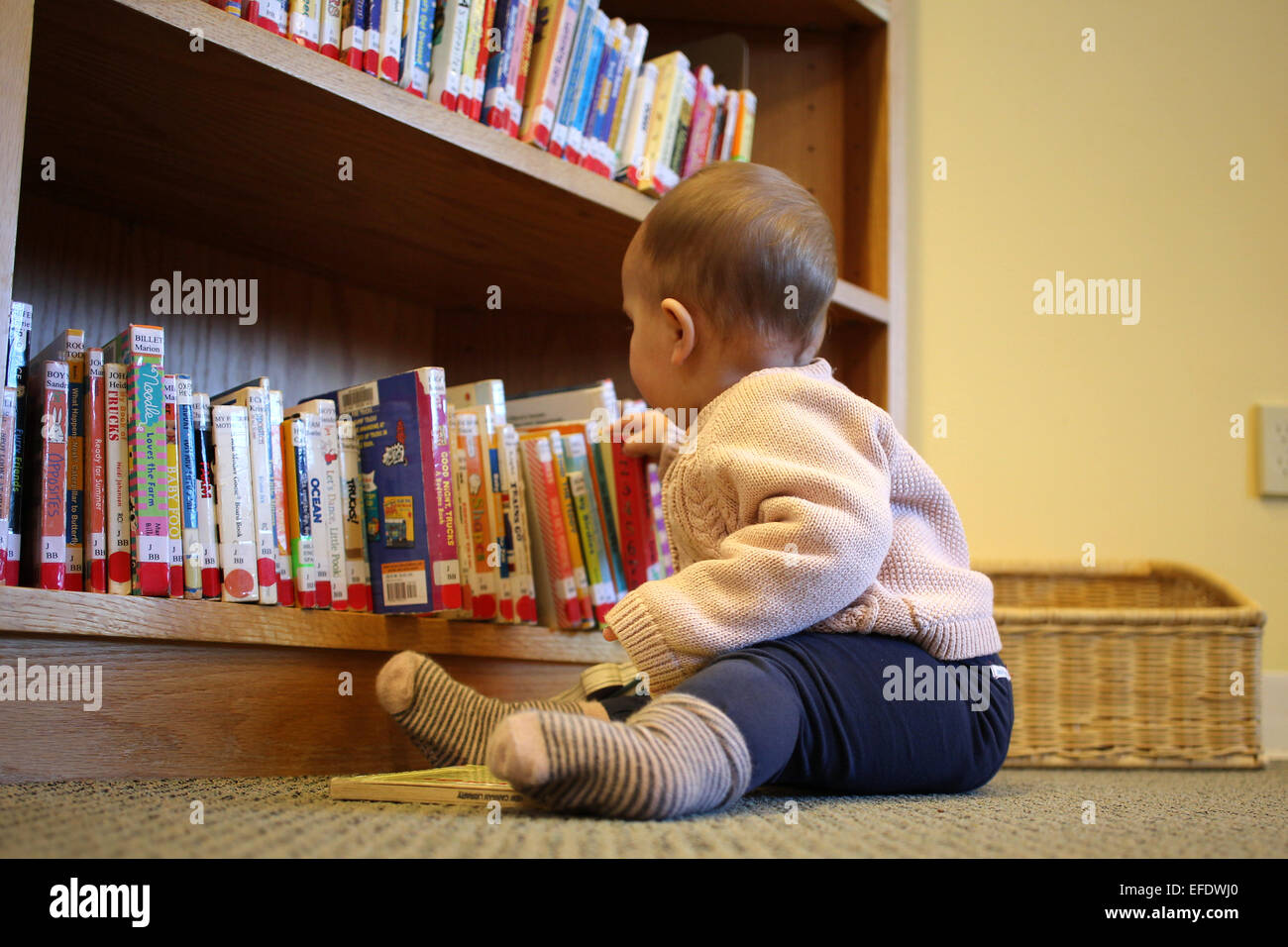 Profile picture library hi-res stock photography and images - Alamy