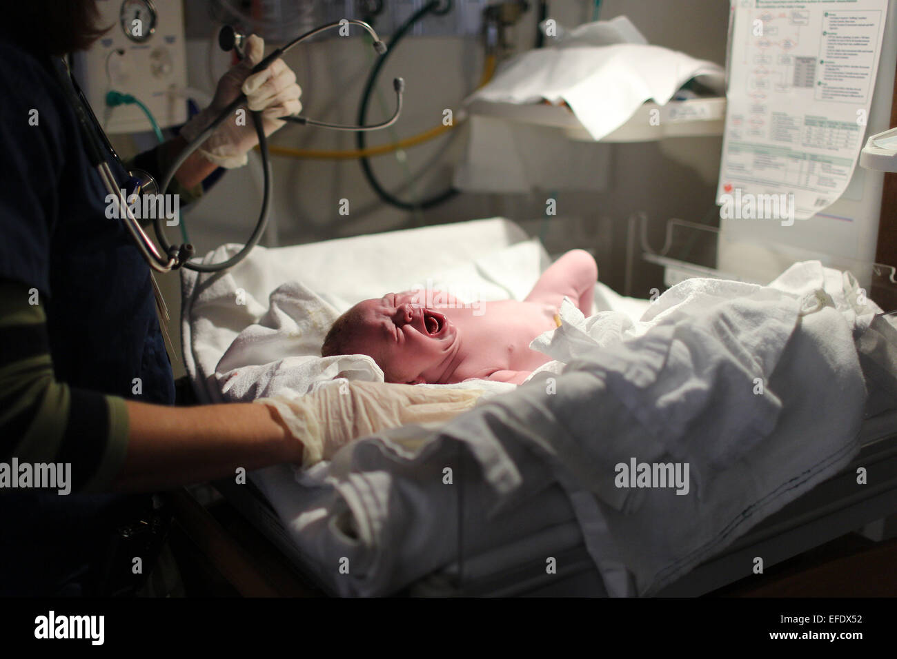A newborn baby girl is medically examined straight after birth in a ...