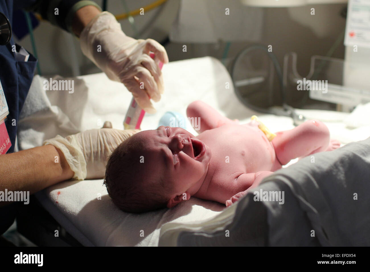 A newborn baby girl is medically examined straight after birth in a ...