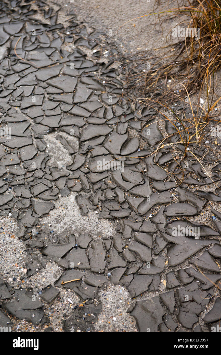 Dry and cracking mud puddle, Tybee Island Georgia Stock Photo - Alamy