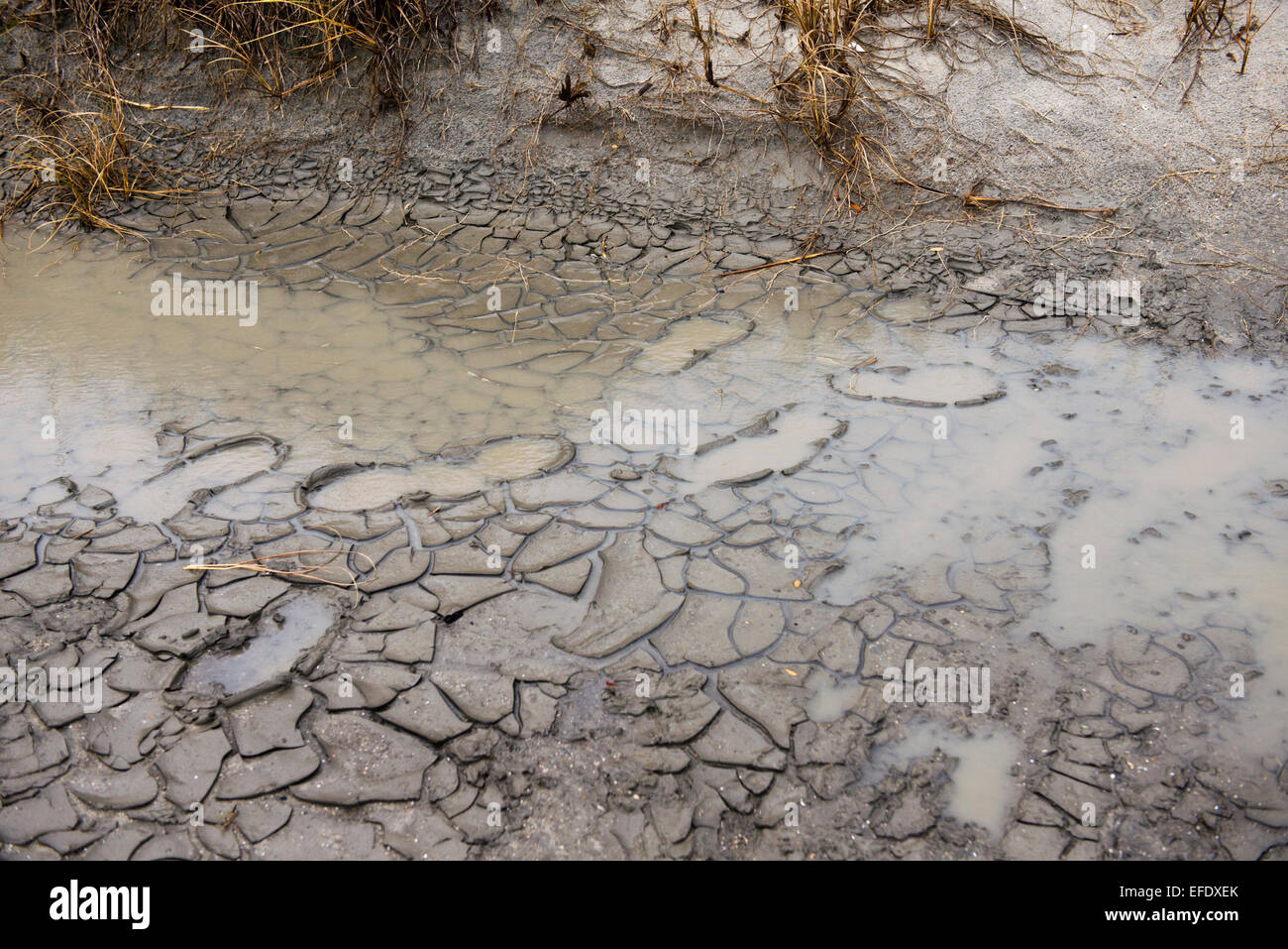 Drought mud puddle hi-res stock photography and images - Alamy