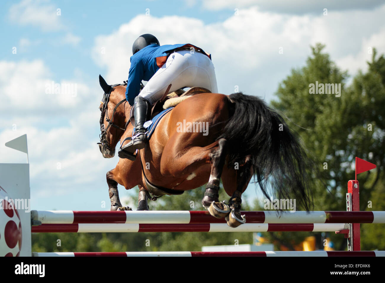 Professional equestrian rider hi-res stock photography and images - Alamy