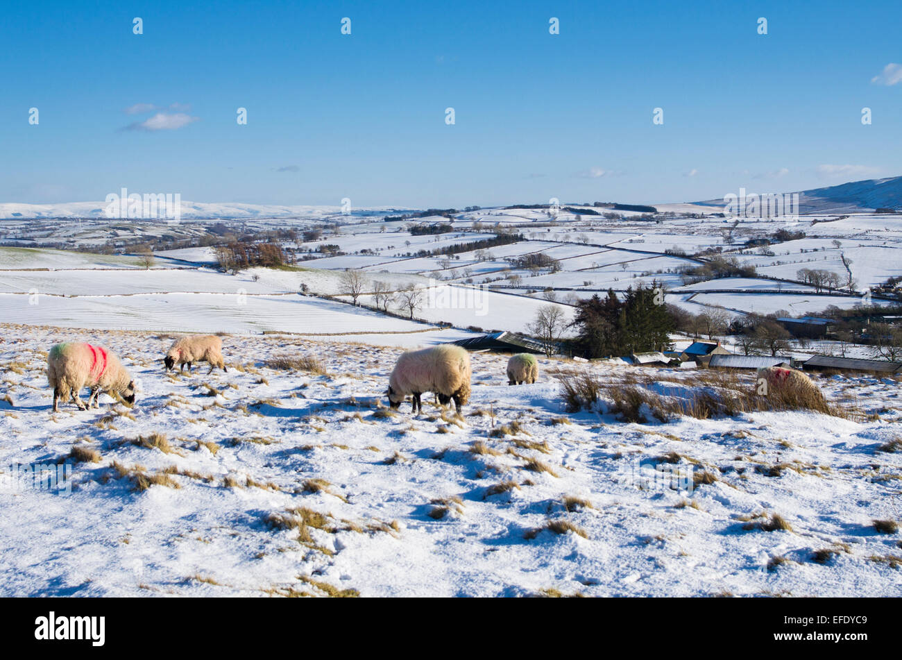 Lake District, Cumbria, UK. 1st February, 2015. UK Weather: After ...