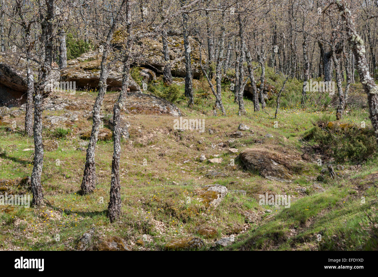 Rascafria Madrid High Resolution Stock Photography and Images - Alamy