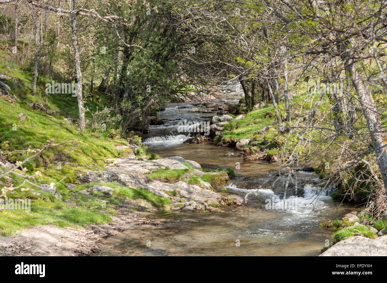 Small stream in Lozoya Valley, Rascafria, Madrid, Spain Stock Photo - Alamy