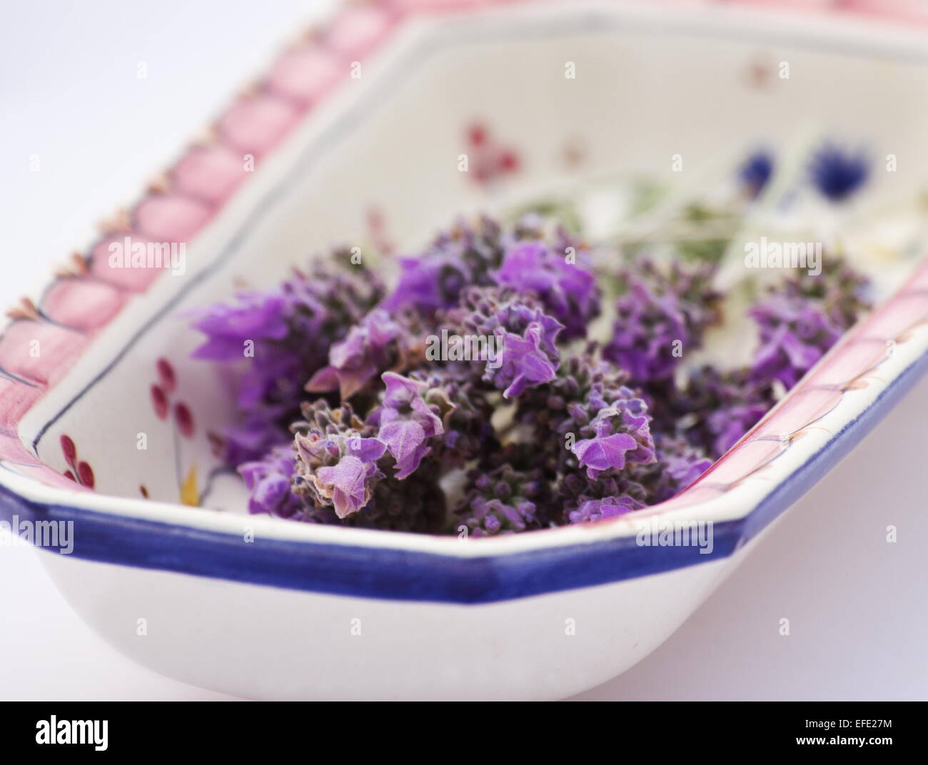 Fresh lavender flowers in a ceramic tray on white background Stock ...