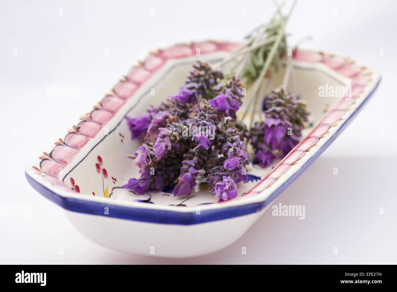 Fresh lavender flowers in a ceramic tray on white background Stock ...