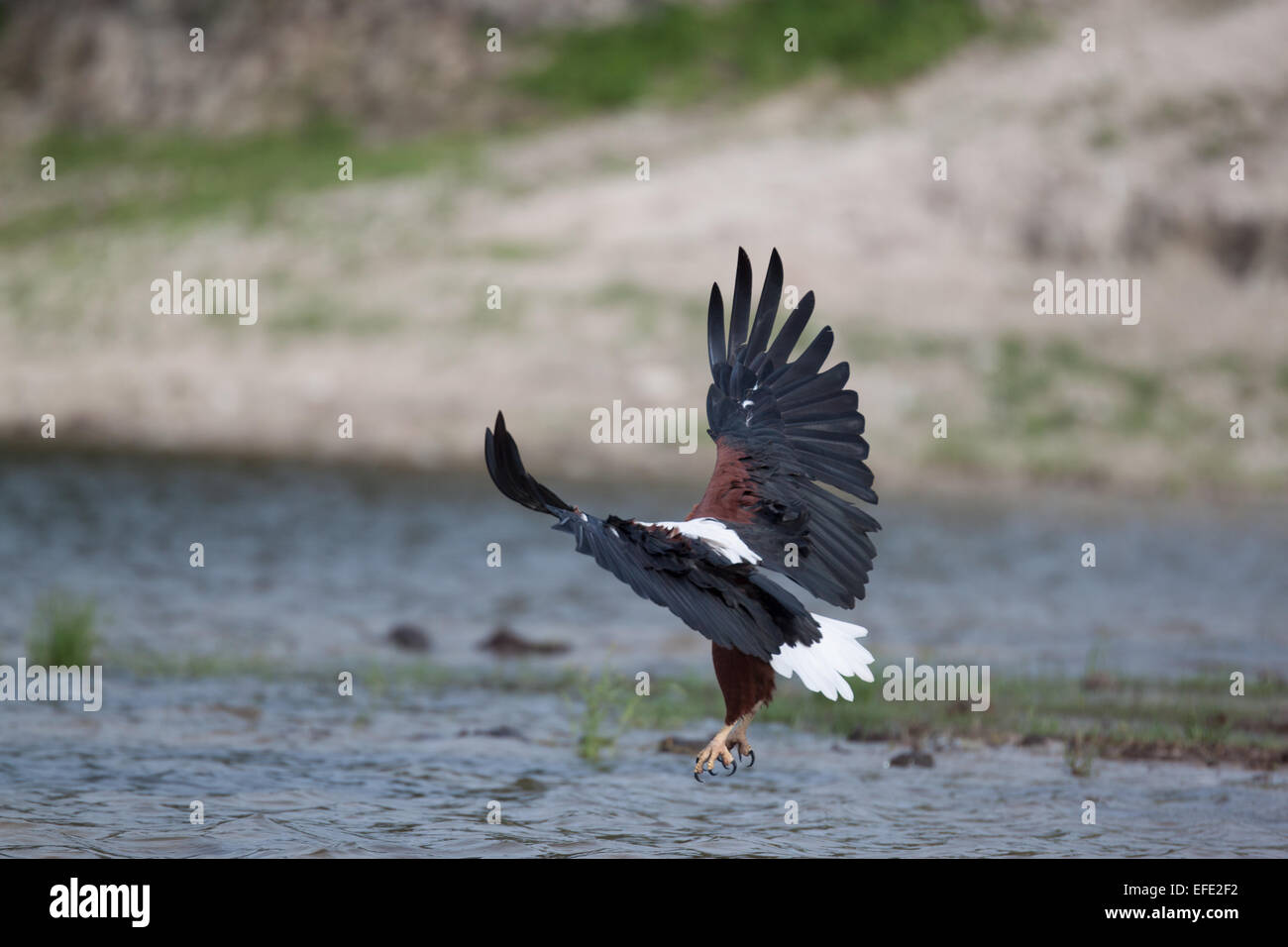Namibia landing hi-res stock photography and images - Alamy