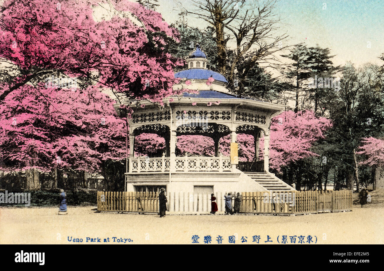 Japan, Tokyo. 1880-1910 Postcard. Ueno park with cherry blossoms and ...