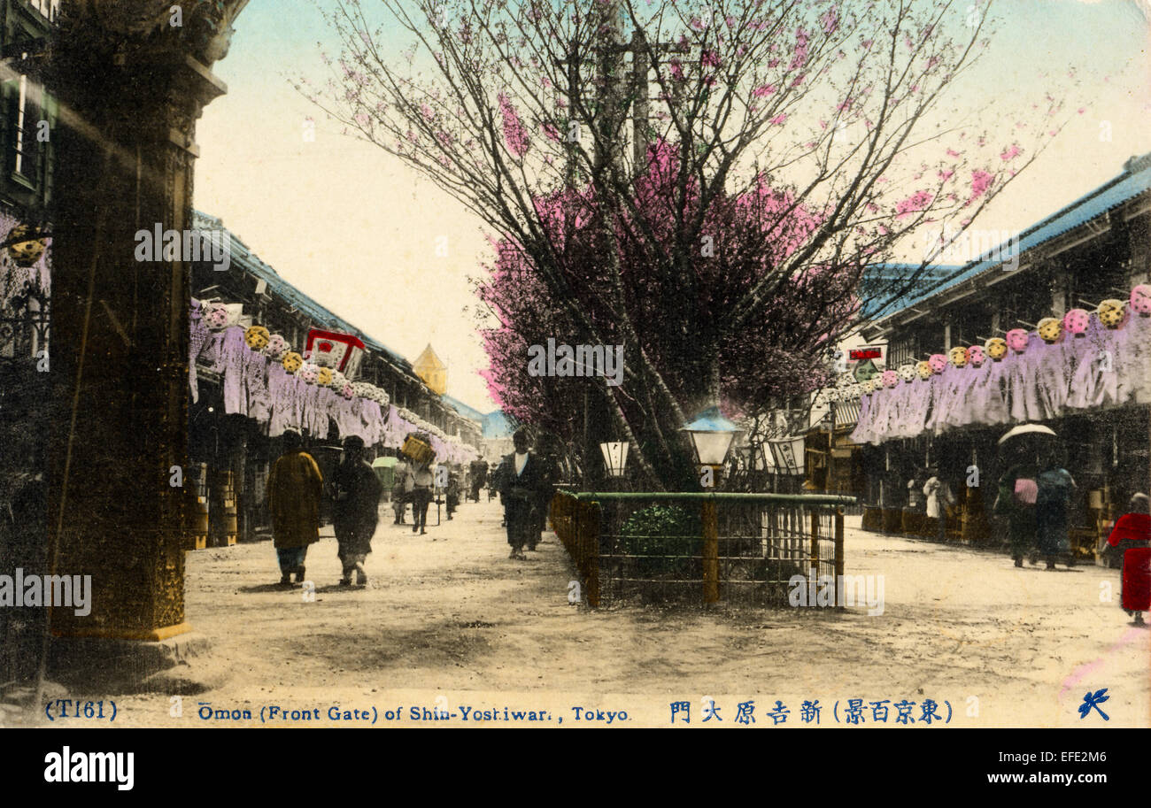 Japan, Tokyo. circa 1890-1910 hand coloured postcard, View along the ...