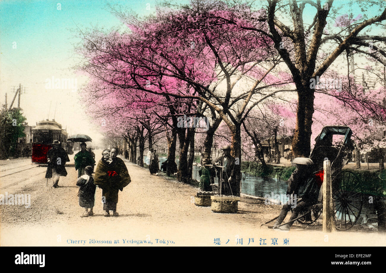 Japan, Tokyo. circa 1890-1910 hand coloured postcard. Cherry blossom ...