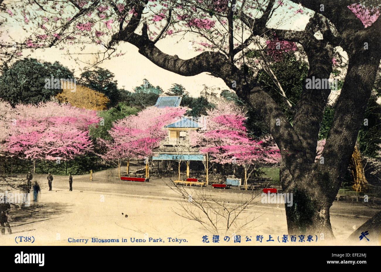Japan, Tokyo. circa 1890-1910 hand coloured postcard. High angle view ...