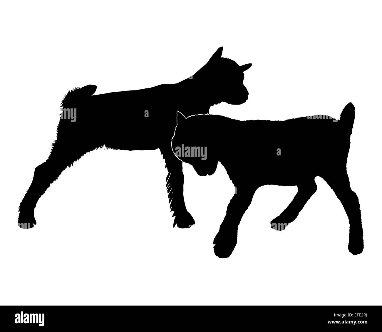 Romping Cut Out Stock Images & Pictures - Alamy