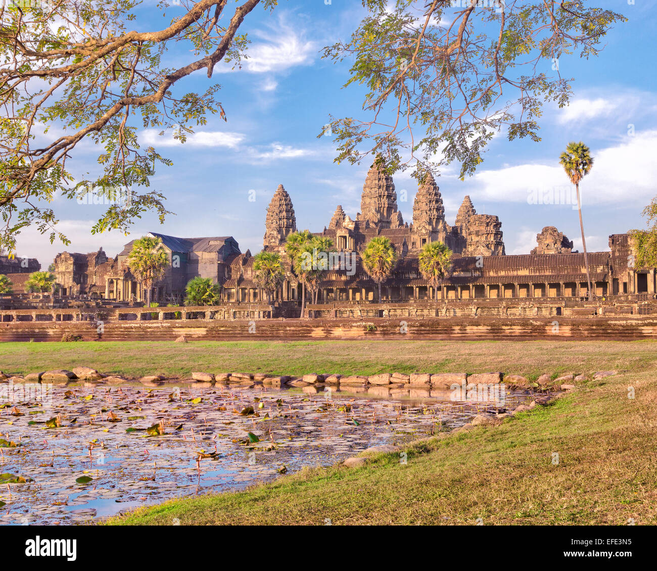 Angkor Wat temple reflecting in lake with flowers Stock Photo - Alamy
