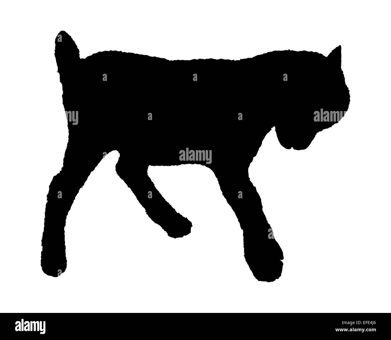 Black kid goat Black and White Stock Photos & Images - Alamy