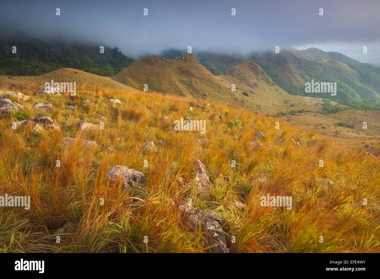 Panama pacific slope hi-res stock photography and images - Alamy