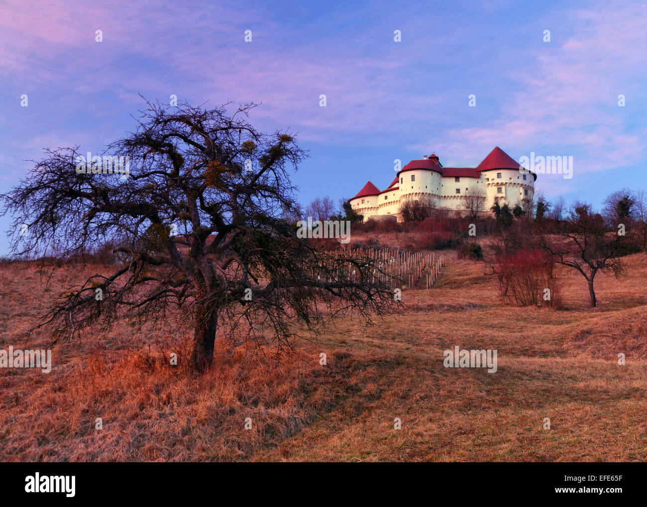 Veliki Tabor castle (fort) - Croatia Stock Photo - Alamy