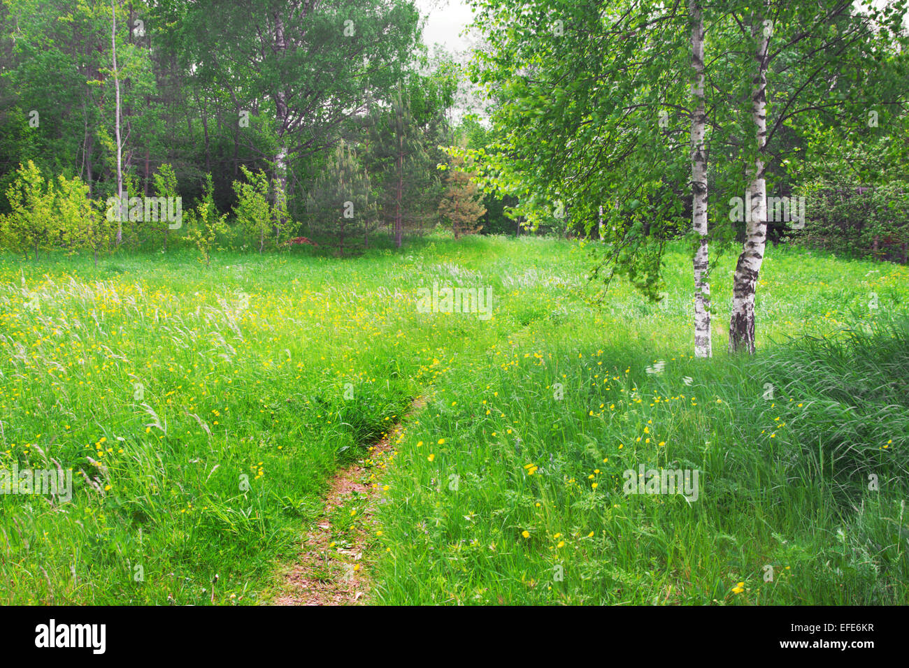 Midland russia landscape hi-res stock photography and images - Alamy