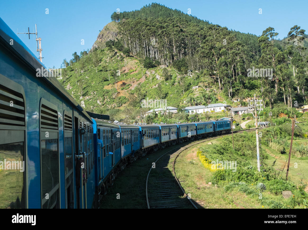 Train trip,journey through tea plantations, countryside in Highlands ...