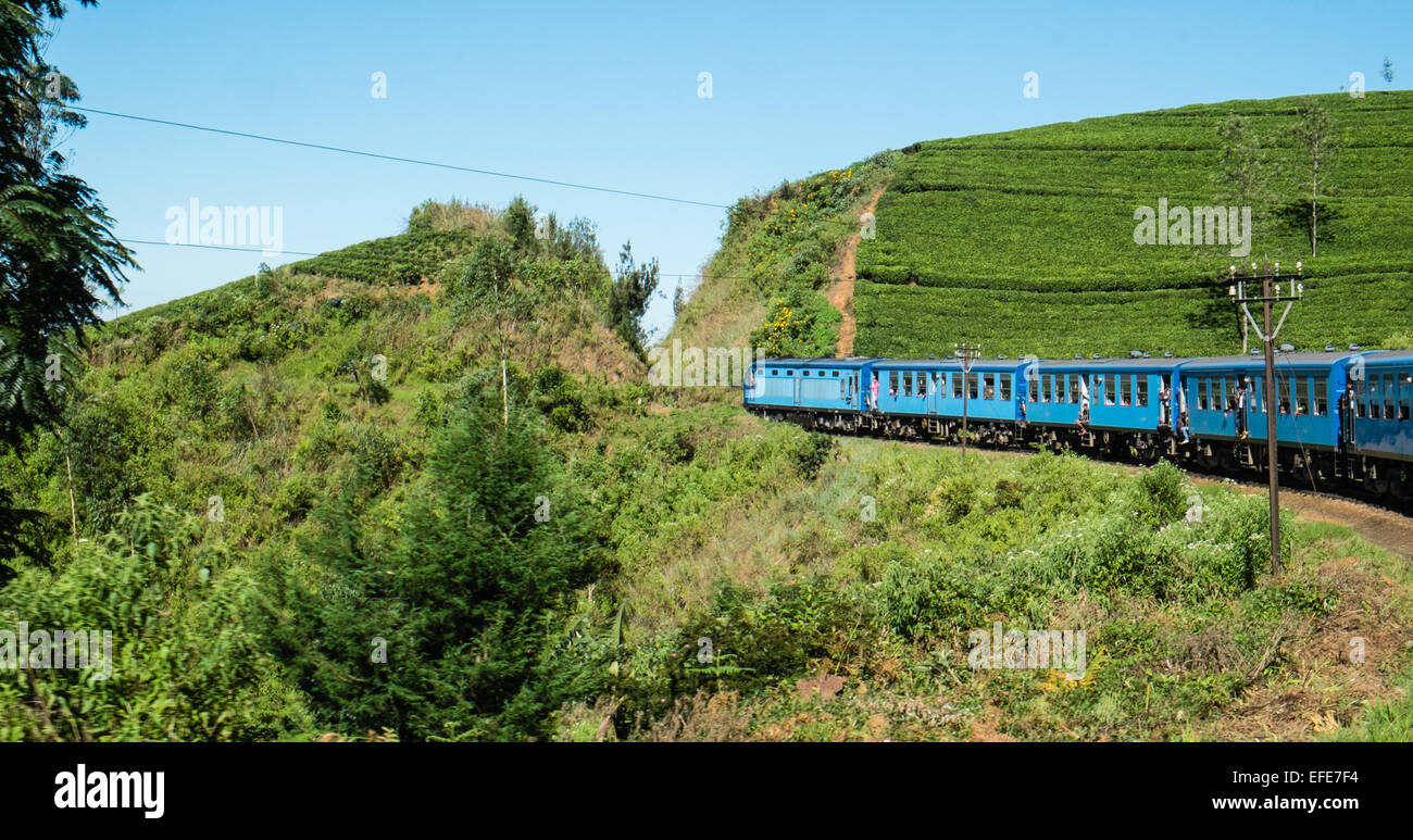 Train trip,journey through tea plantations, countryside in Highlands ...