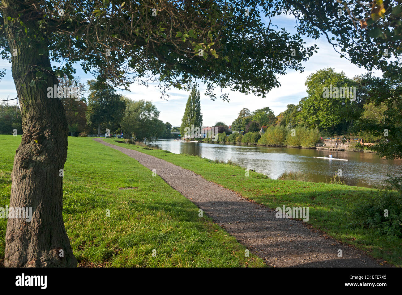 River; Dee; rowing; meadows, autumn. colours; light; Chester; Cheshire ...