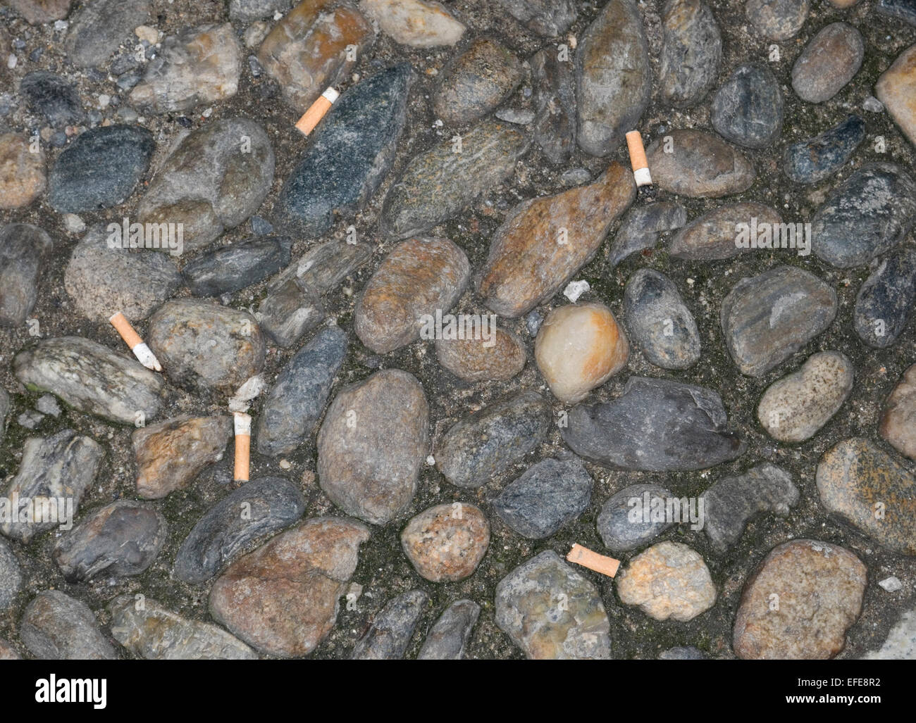 Cigarette stubs on a cobblestone street Stock Photo - Alamy