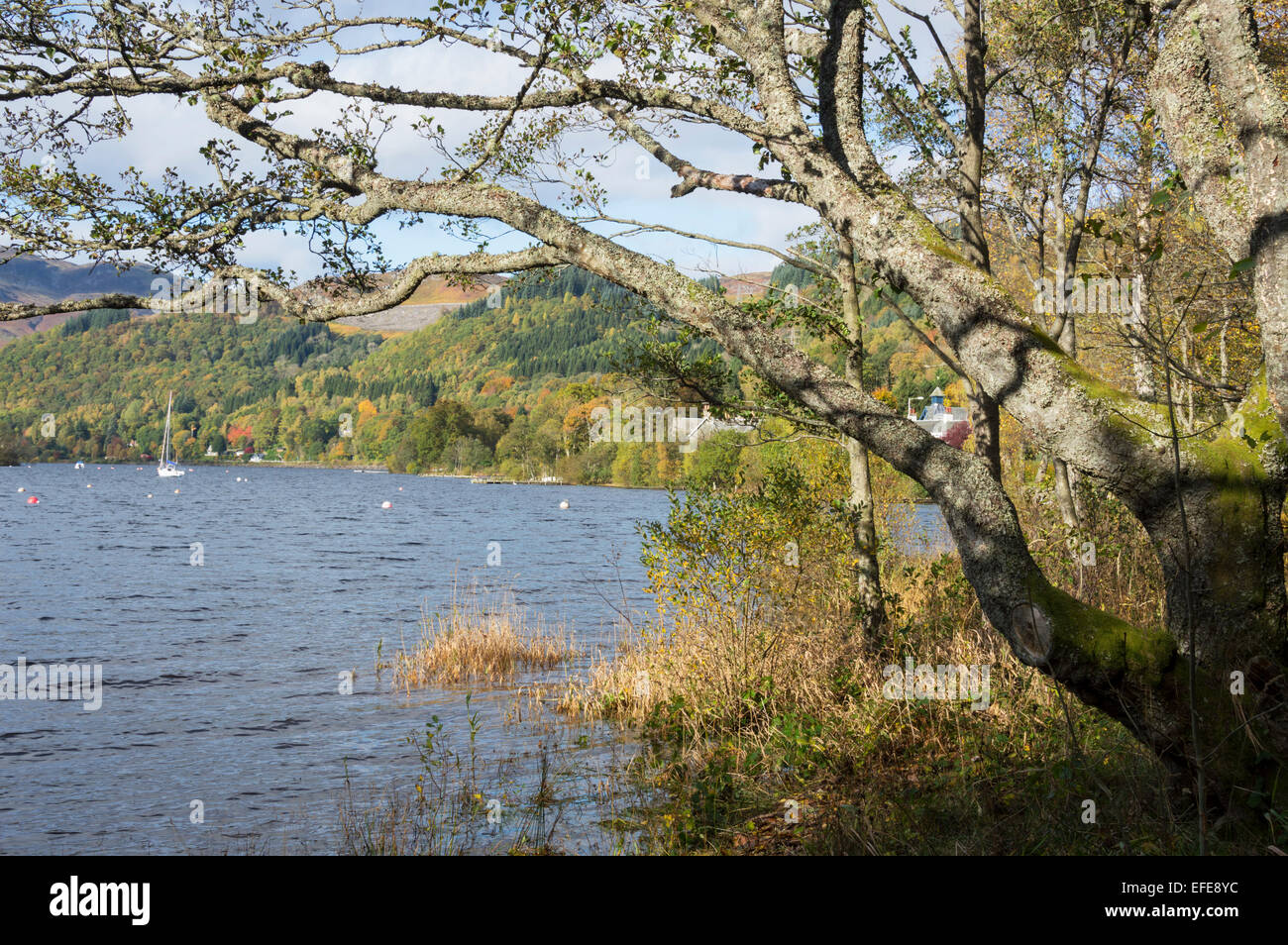 Scottish autumn landscape hi-res stock photography and images - Alamy