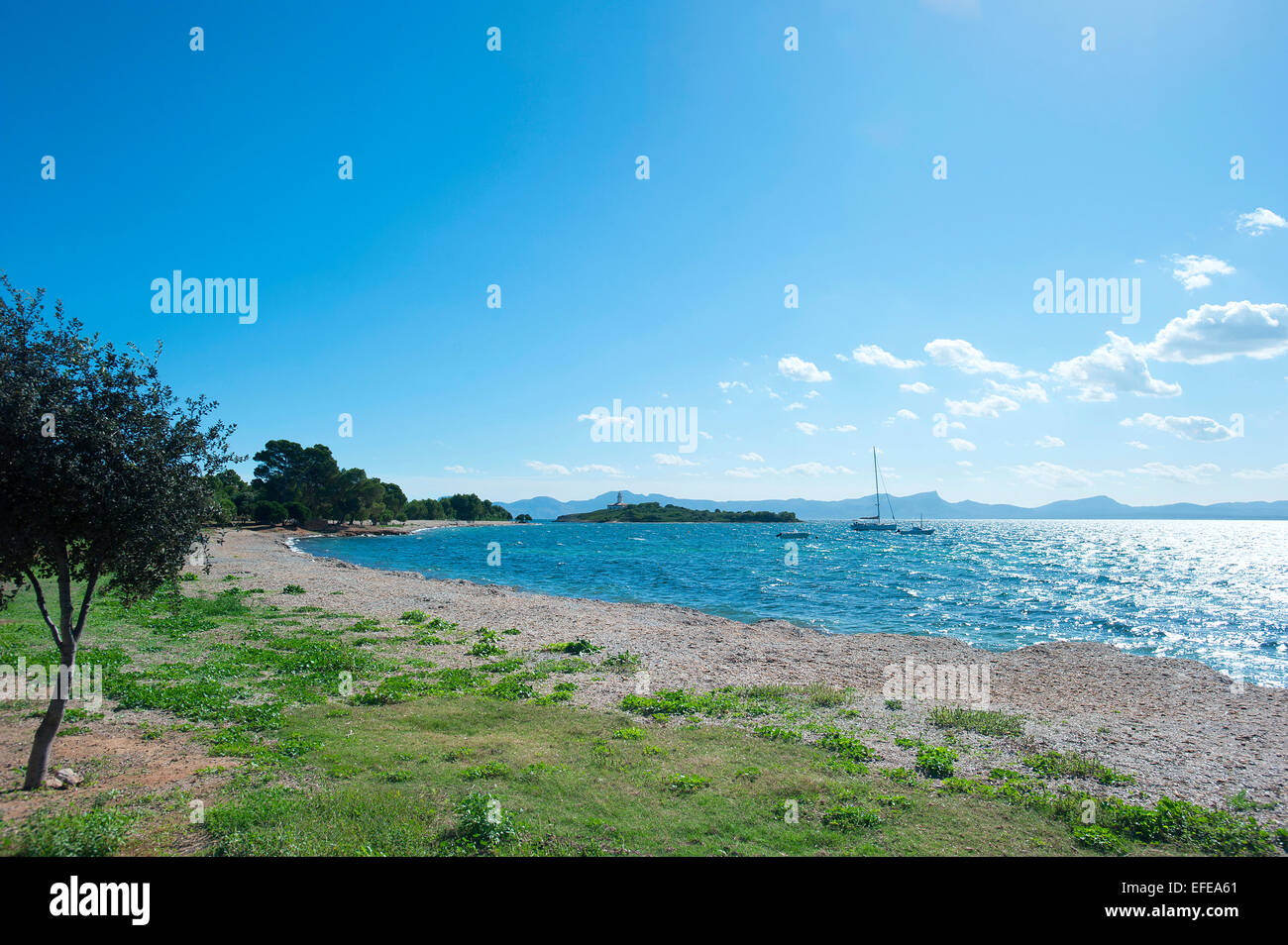 Beach Alcanada, Mallorca, Balearics, Spain Stock Photo - Alamy