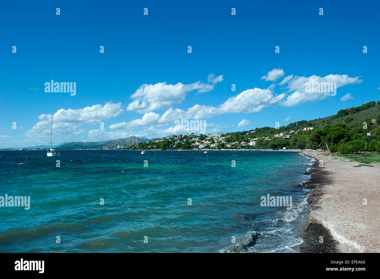Playa alcanada mallorca hi-res stock photography and images - Alamy