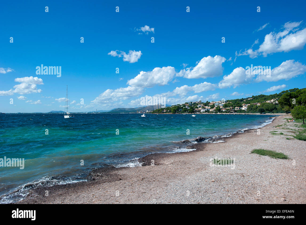Playa alcanada mallorca hi-res stock photography and images - Alamy
