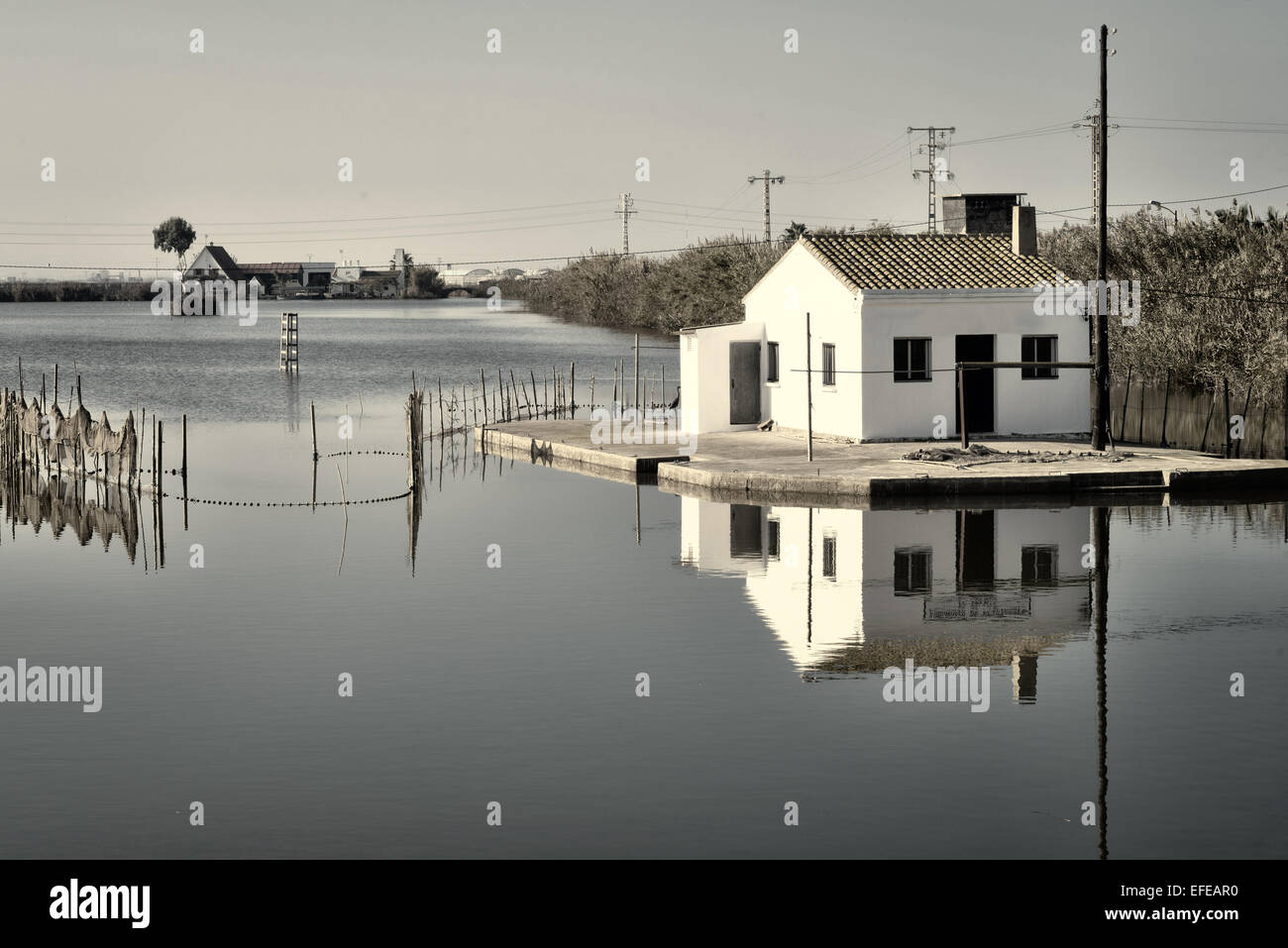Scenics of the main Albufera lagoon, Valencia, Spain Stock Photo - Alamy