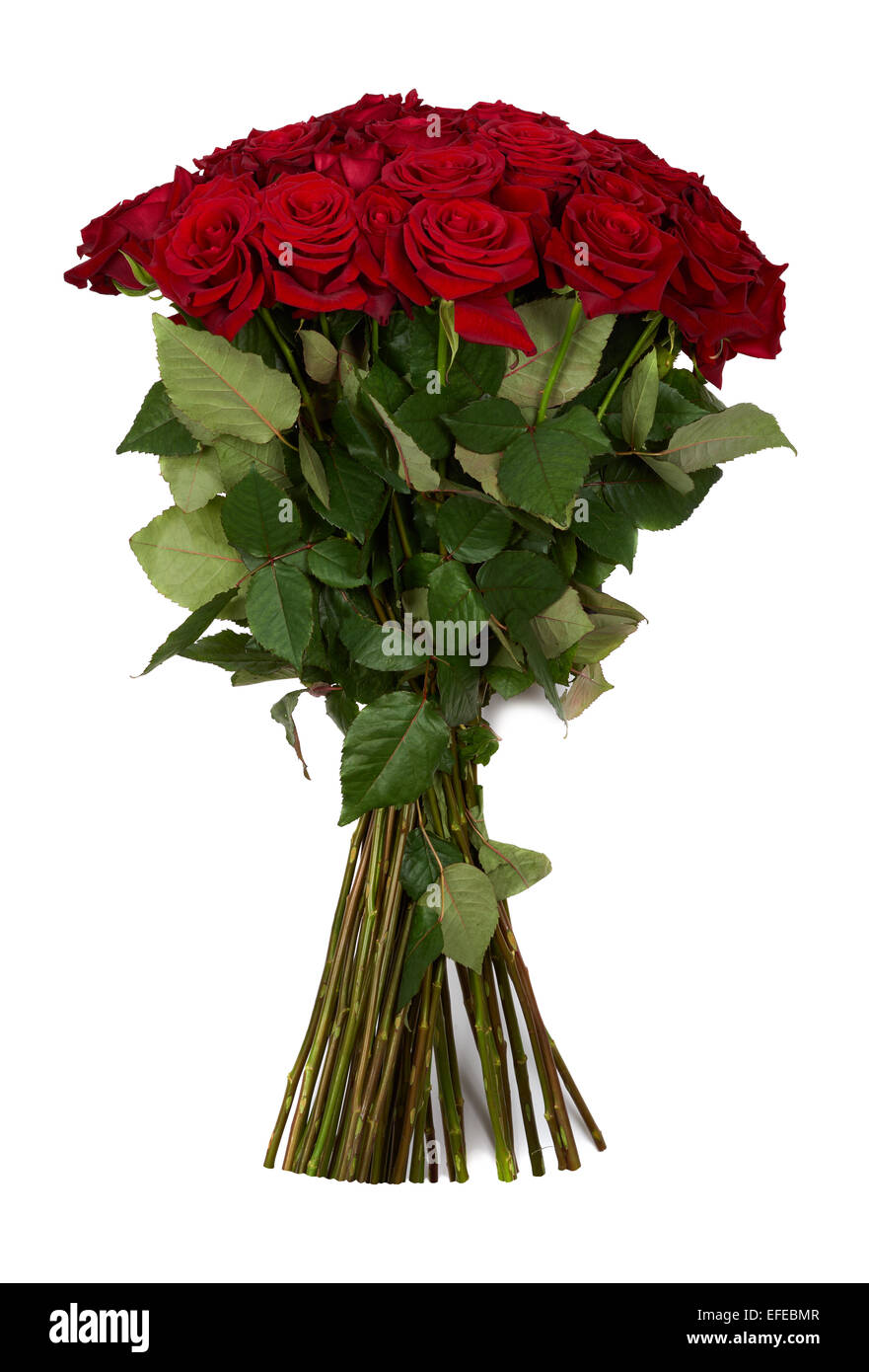 One bunch of red roses isolated on white Stock Photo - Alamy