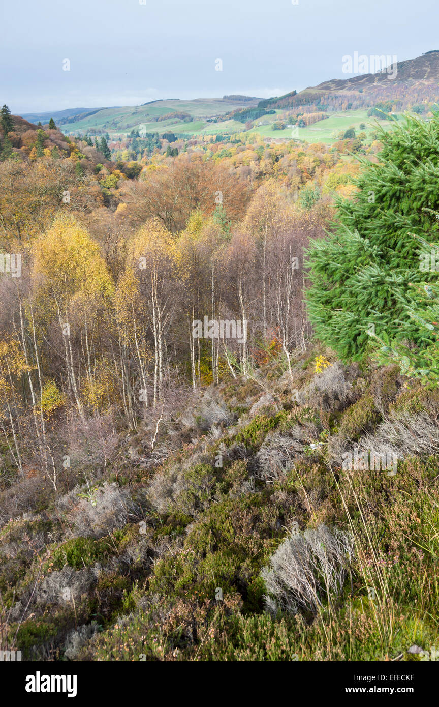 Sunny colours hi-res stock photography and images - Alamy