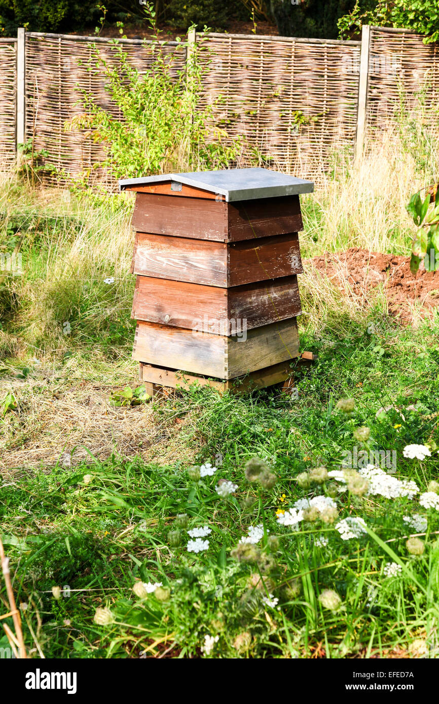Wooden hive hi-res stock photography and images - Alamy