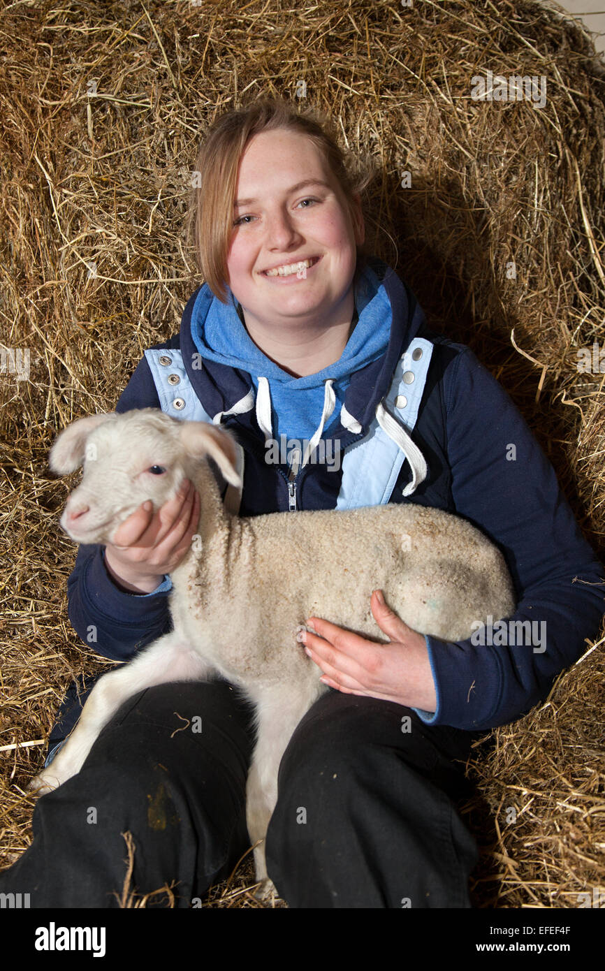 British milk sheep hi-res stock photography and images - Alamy