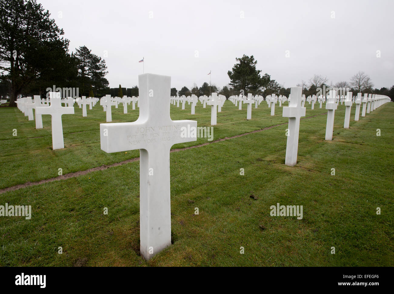 Row upon row of white crosses in the American cemetery mark the graves ...