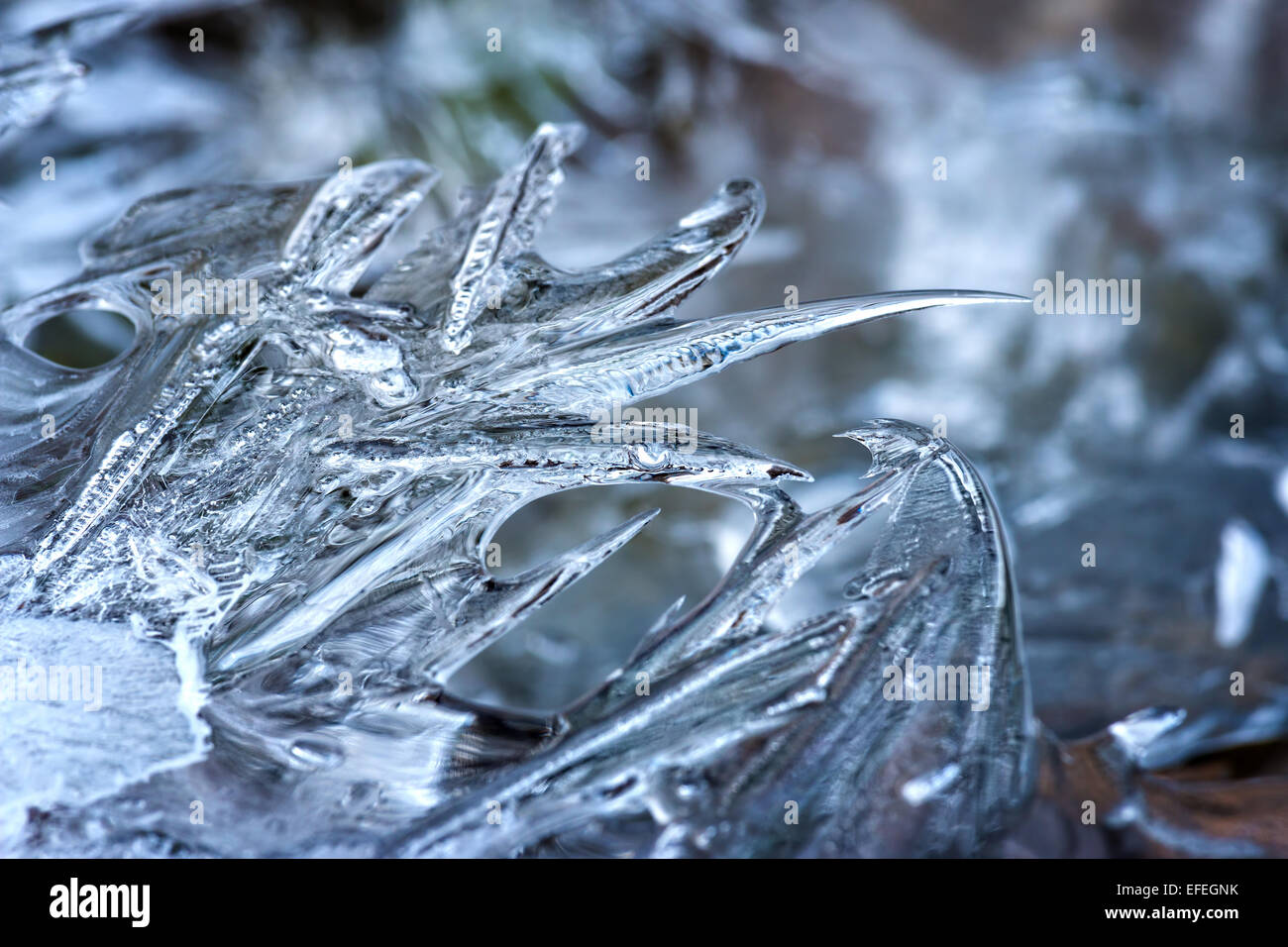 Interesting ice form in winter Stock Photo - Alamy