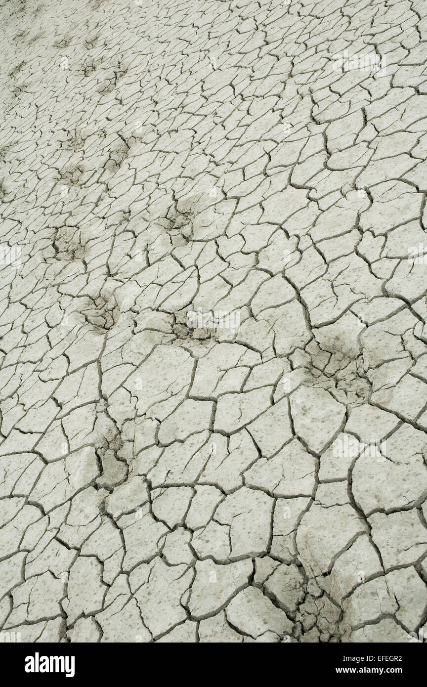 Peeling earth hi-res stock photography and images - Alamy