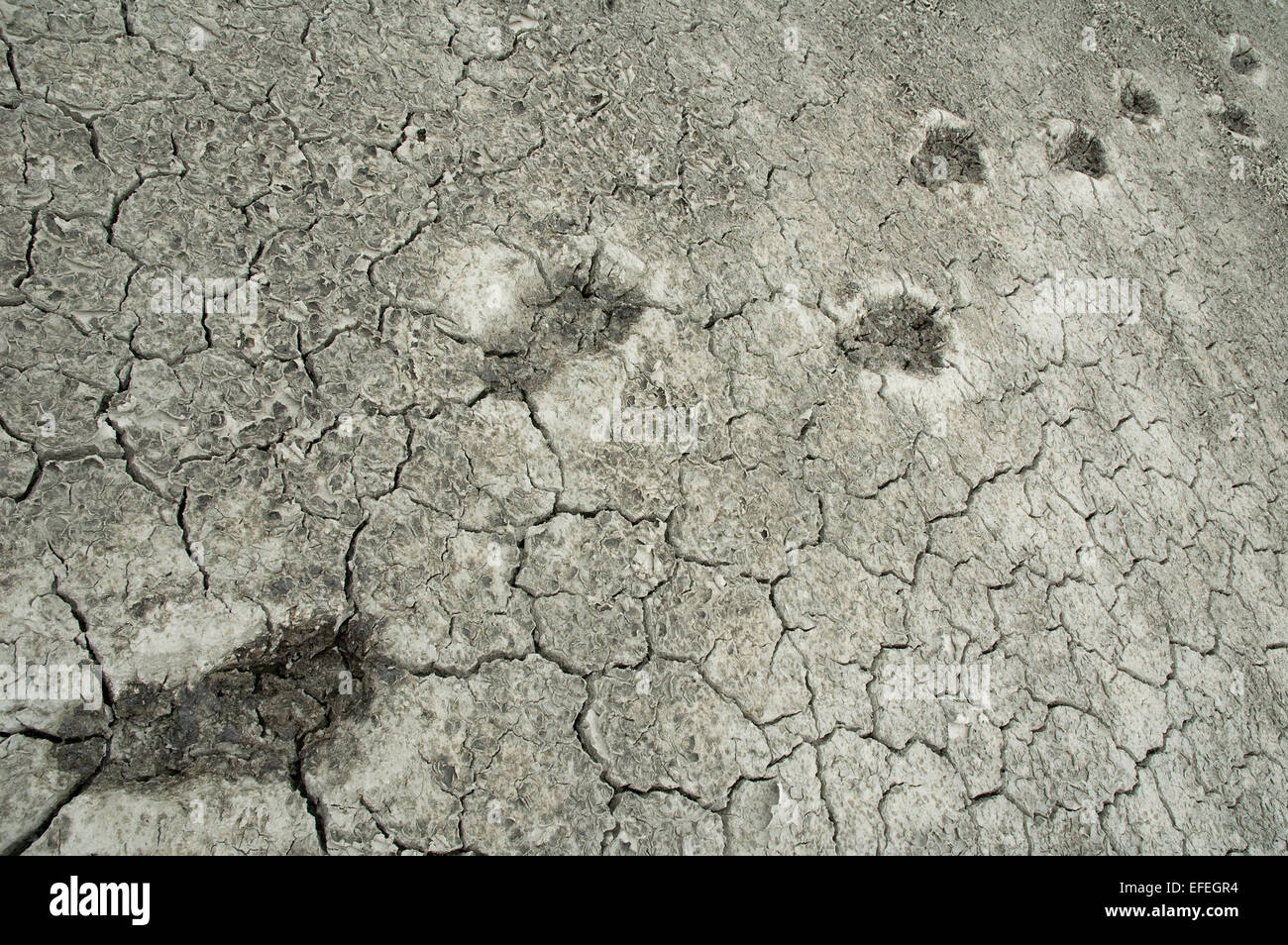 Peeling earth hi-res stock photography and images - Alamy