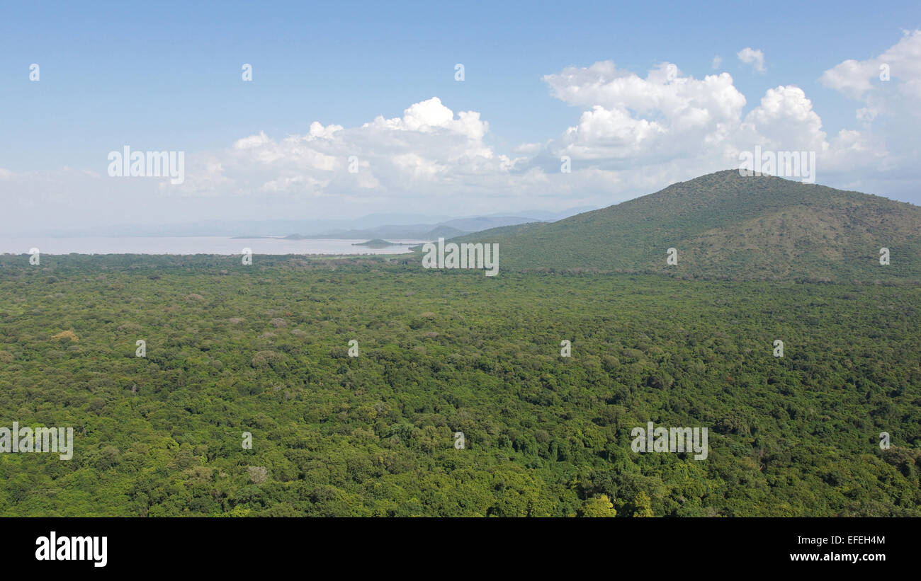 Nechisar National Park with Lake Chamo, Ethiopia, Africa Stock Photo ...