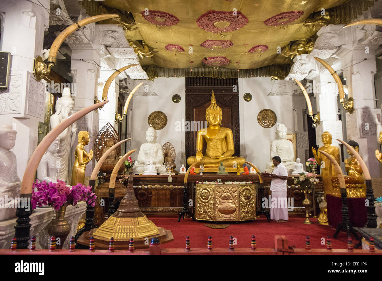 Temple Of The Tooth Elephant