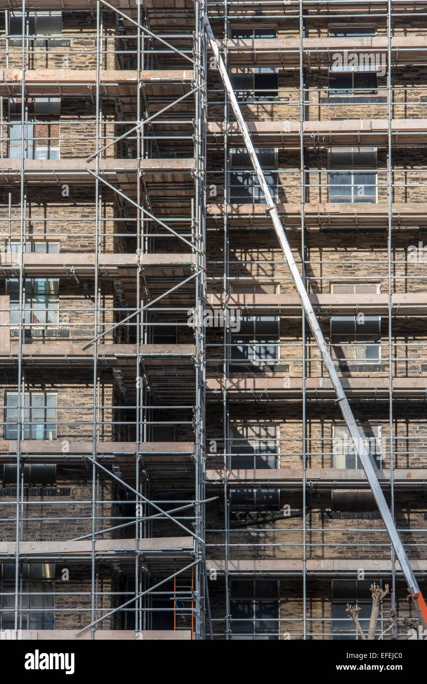 A long extending ladder alongside steel scaffolding Stock Photo - Alamy