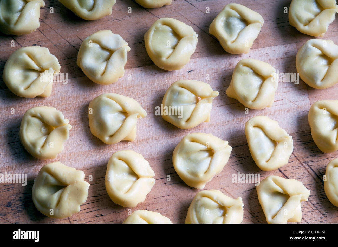 fresh tortellini on a wooden board, a typical food of Italian cuisine ...