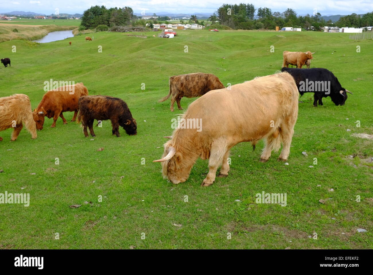 Angus river hi-res stock photography and images - Alamy
