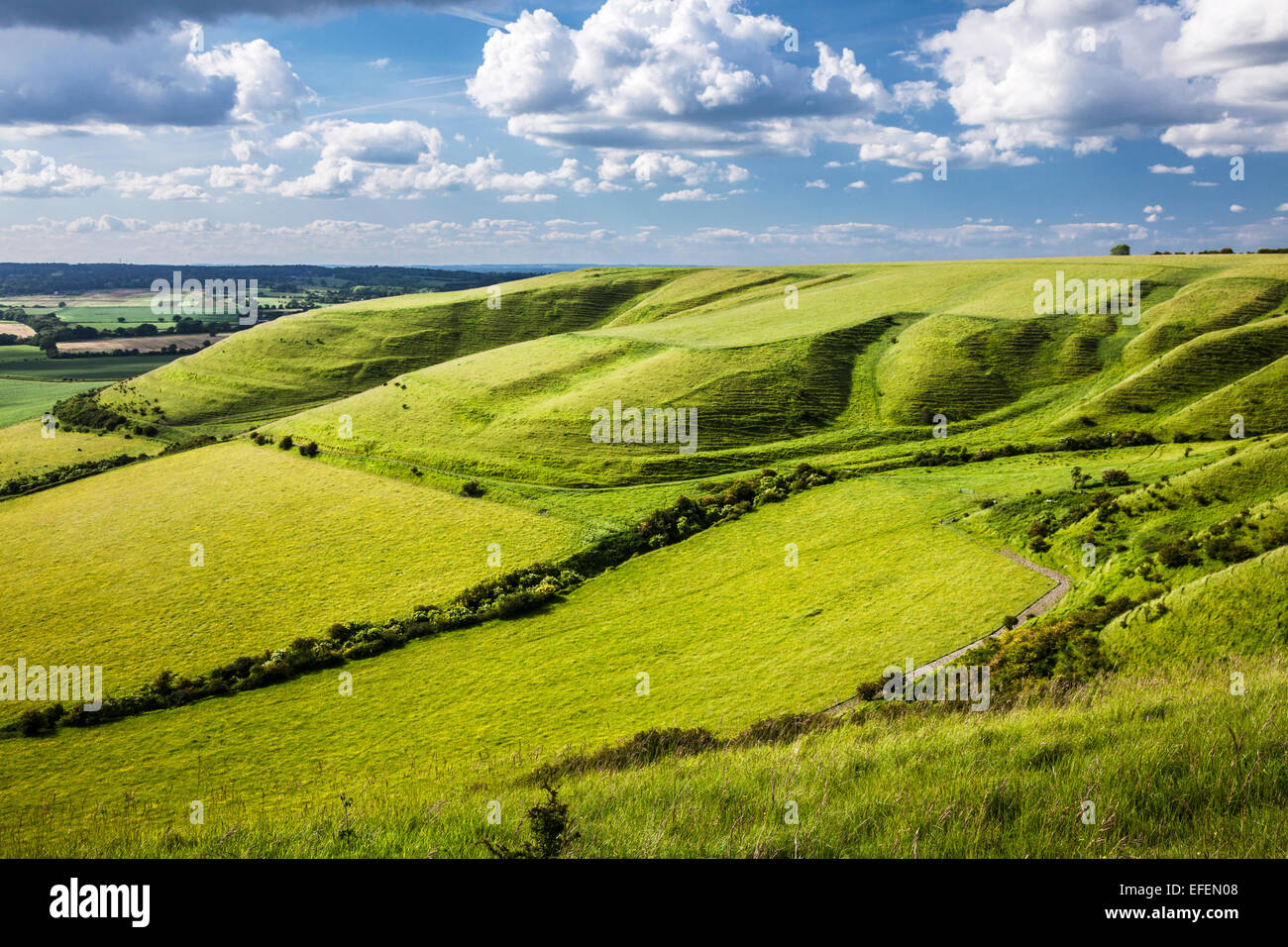 The view from Roundway Hill and the iron age hillfort of Oliver's Stock ...