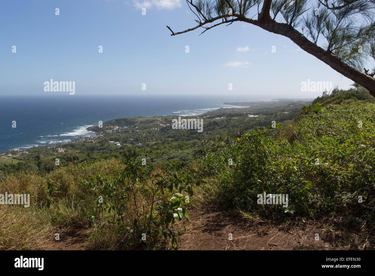 Eastern, Atlantic side of Barbados showing steep cliffs and rocky coast ...