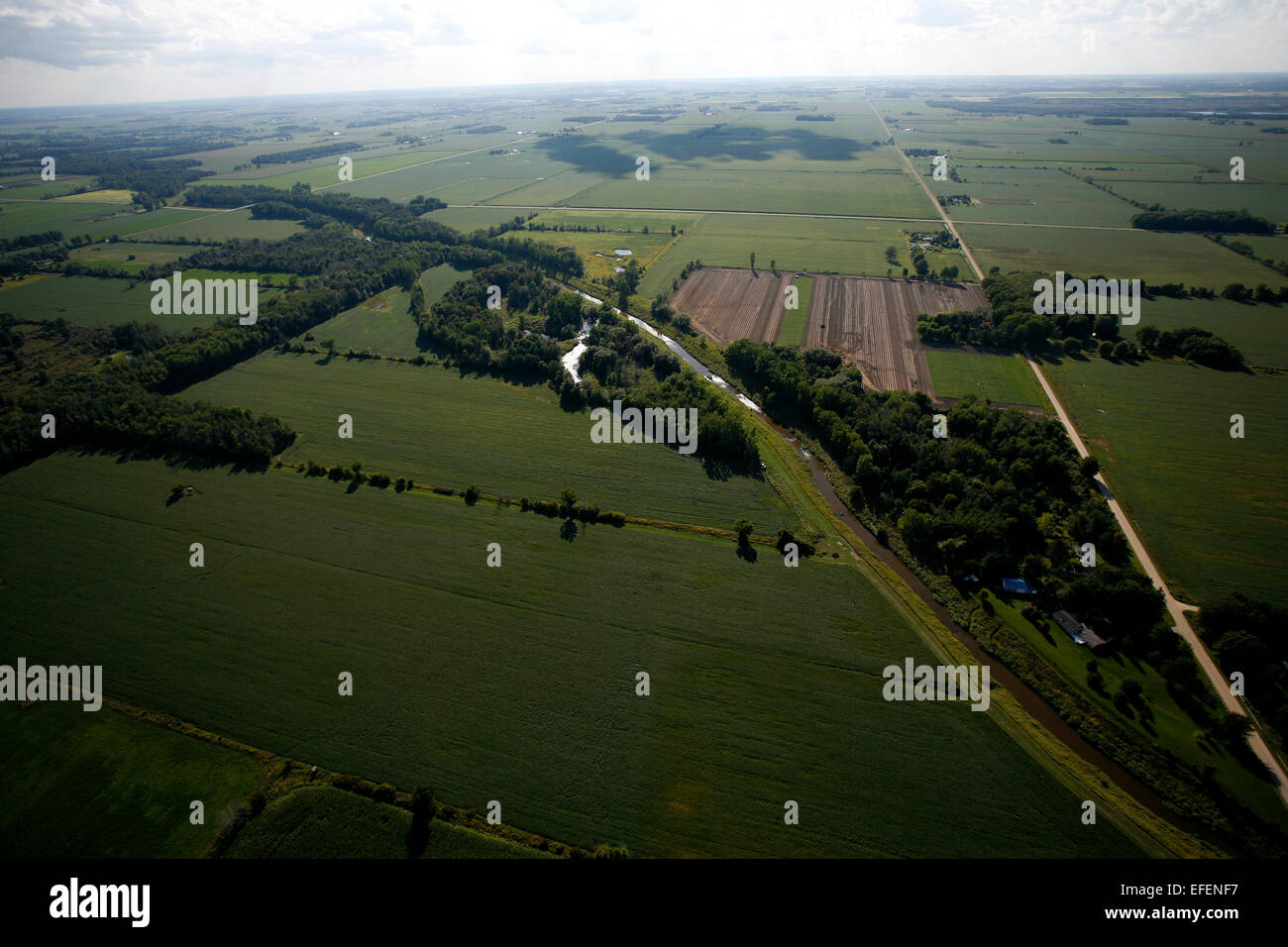 Farmland near Sandusky, Michigan in the Saginaw Bay Watershed. Elk ...
