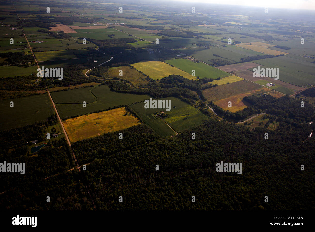 Farmland near Sandusky, Michigan in the Saginaw Bay Watershed. The ...