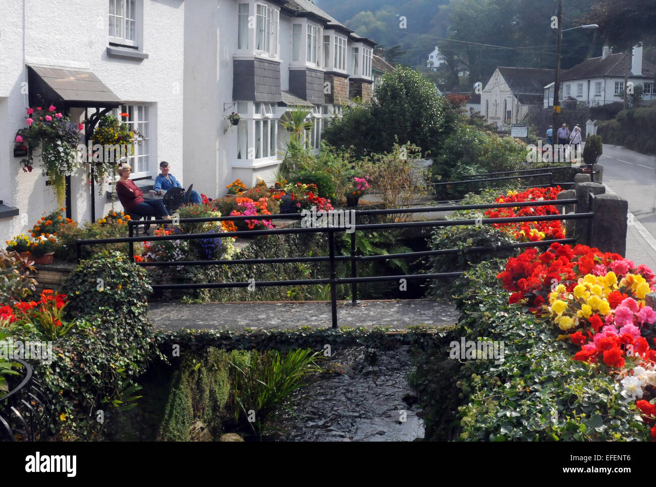 Cornwall begonias hi-res stock photography and images - Alamy